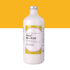 Volvac® AC PLUS+ND+IB KV 500ml | PROVE-AVICOLA