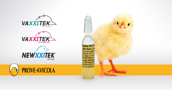 Vaxxitek® | PROVE-AVICOLA