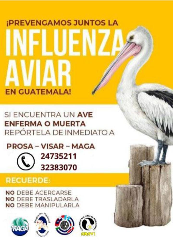 Comunicado Influenza Aviar H5N1 | PROVE-AVICOLA